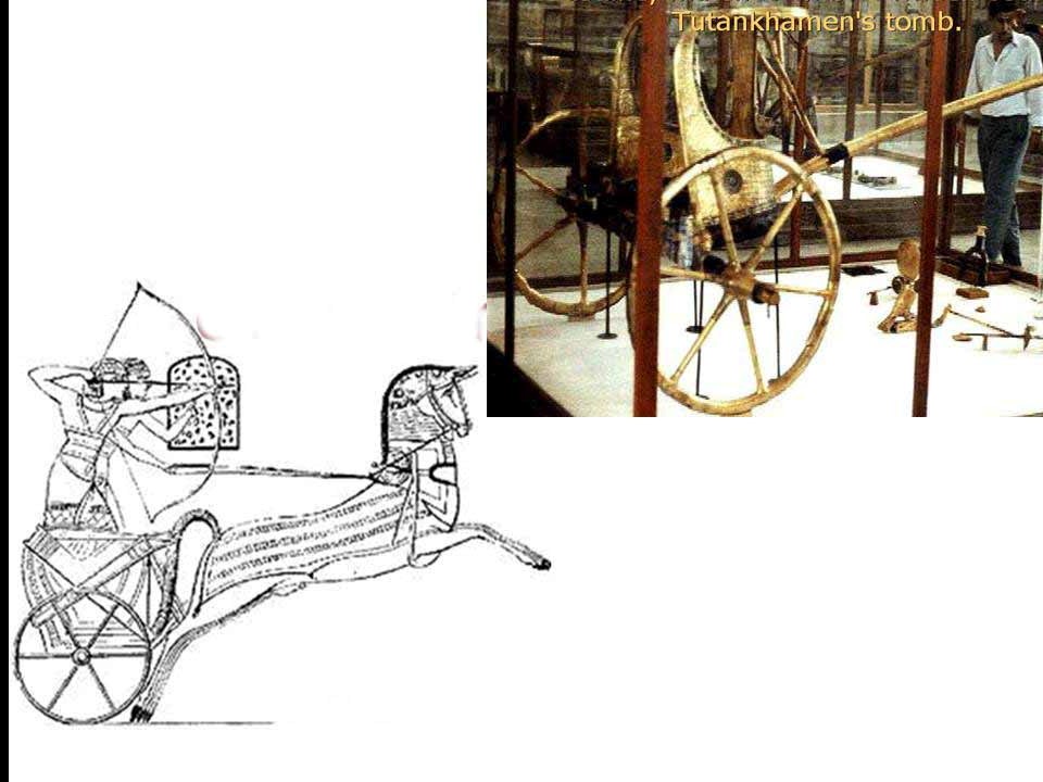 Archaeological Proof of Red Sea Crossing (Exodus) – Eastwind Journals